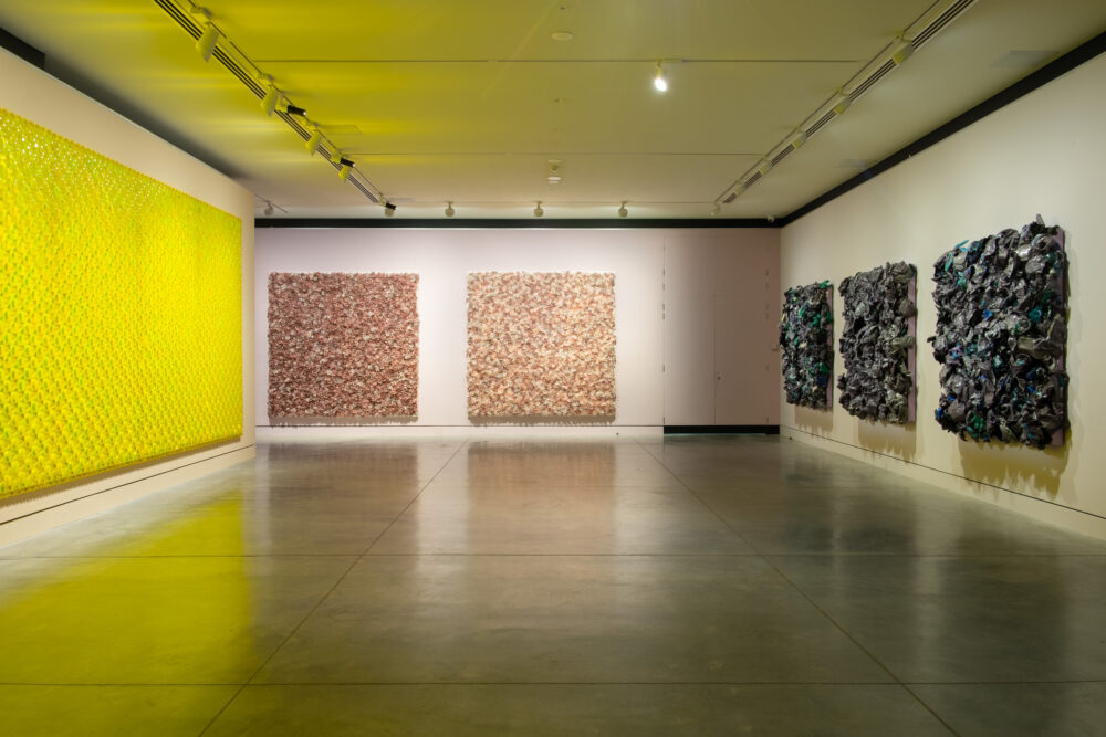 Oh Canola! exhibition catalogue . Text by Dr Lisa Slade , Design by ...